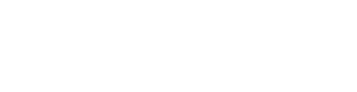 LACNIC 45